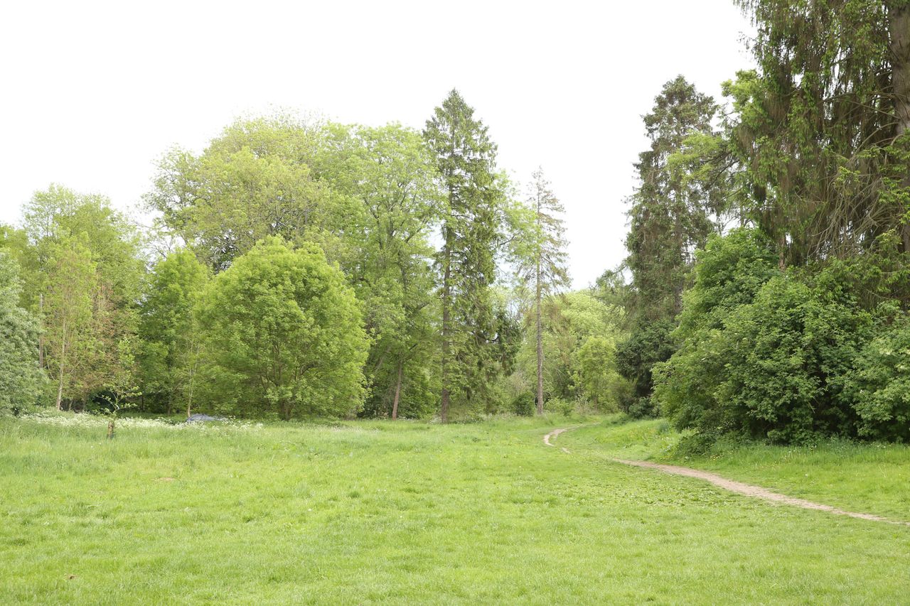 Three Rivers parks retain prestigious Green Flag Awards | Leisure ...